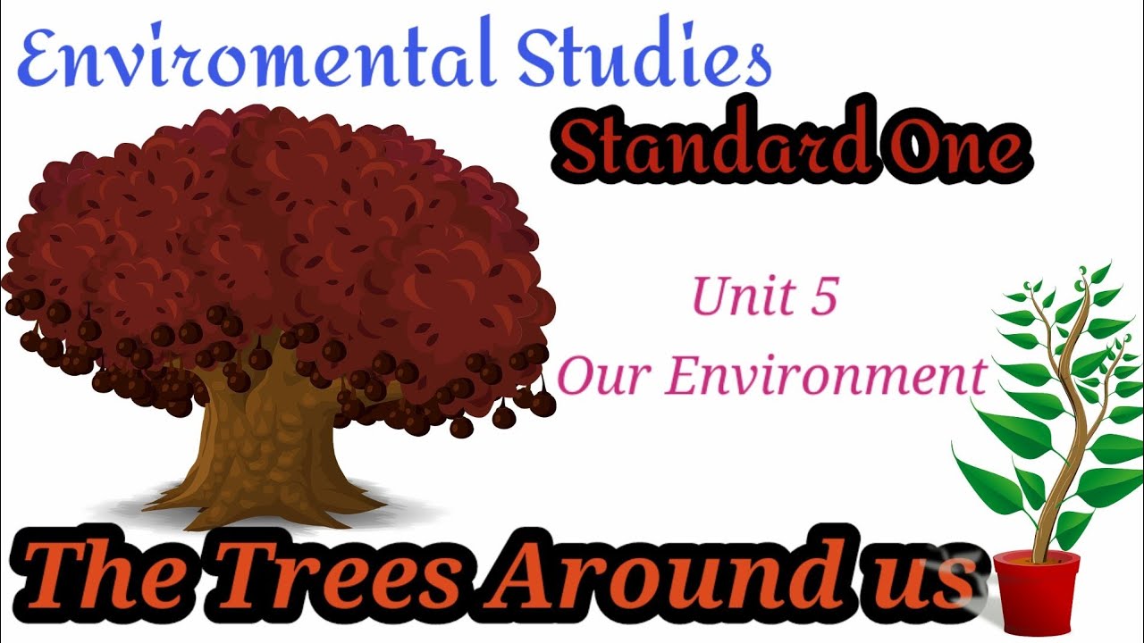 The Trees Around us | Environmental Studies | Standard One - YouTube