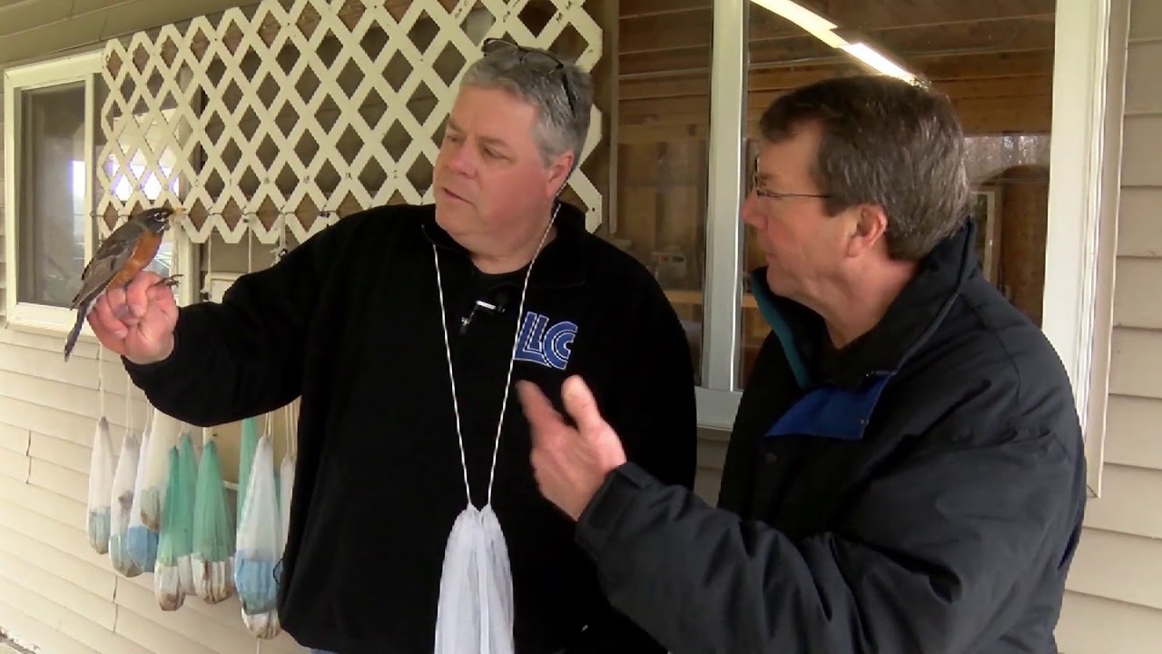 IL Stories | Bird Banding at LLCC | WSEC-TV/PBS Springfield - YouTube