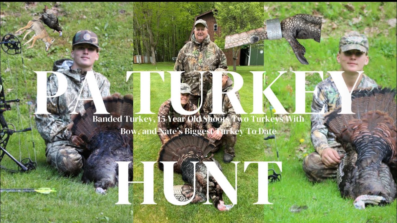 ONCE in A LIFETIME Banded Turkey! Youth Hunter Shoots Two Turkeys With ...