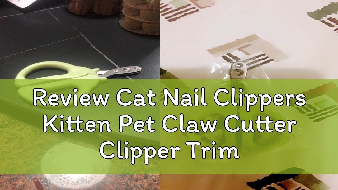 Review Cat Nail Clippers Kitten Pet Claw Cutter Clipper Trimmer 2mm 3mm ...