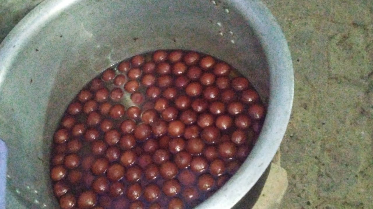 Welcome to my live stream🥰 with rasgulla🤗😜 - YouTube