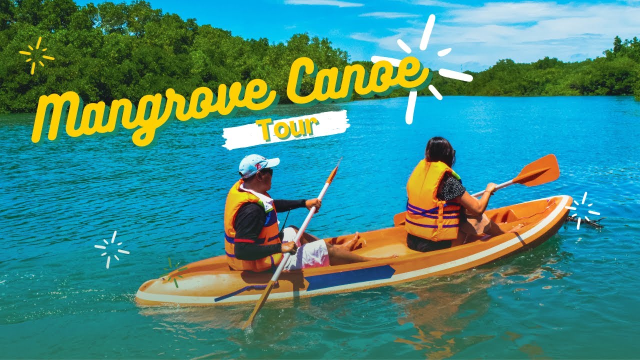 Mangrove Canoe Tour by Serangan Explorer - YouTube