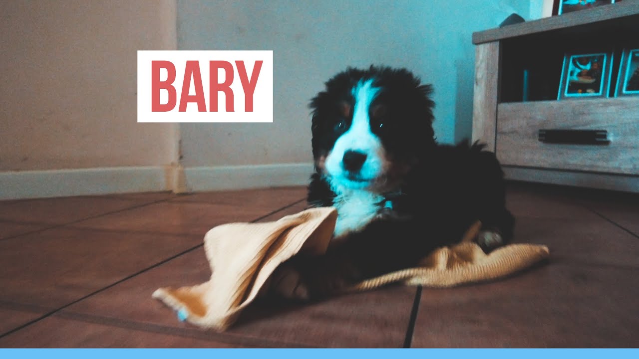 BARY - YouTube
