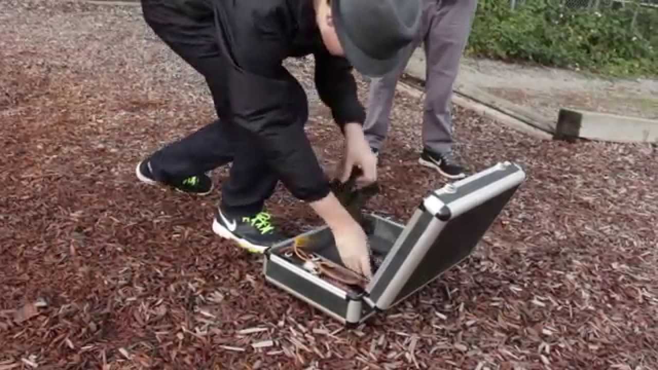 The One Liners - Pilot episode 1 - YouTube