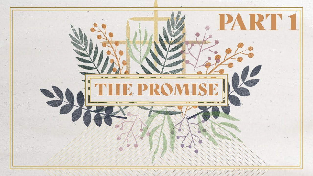 The Promise (Part 1: Purpose) | Andrew Byrd | Greater Life Church - YouTube