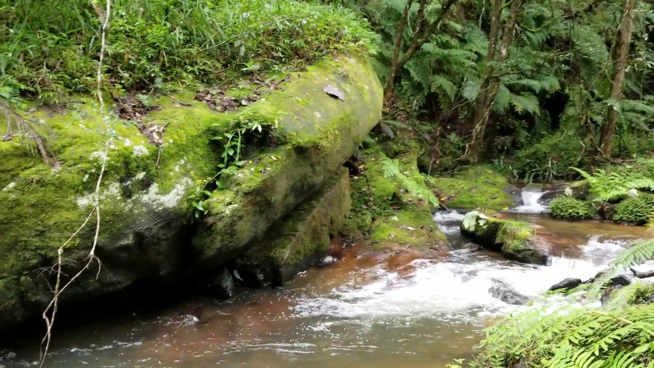 Green Waterfall Boulders Madagascar Andasibe Mantadia National Park ...