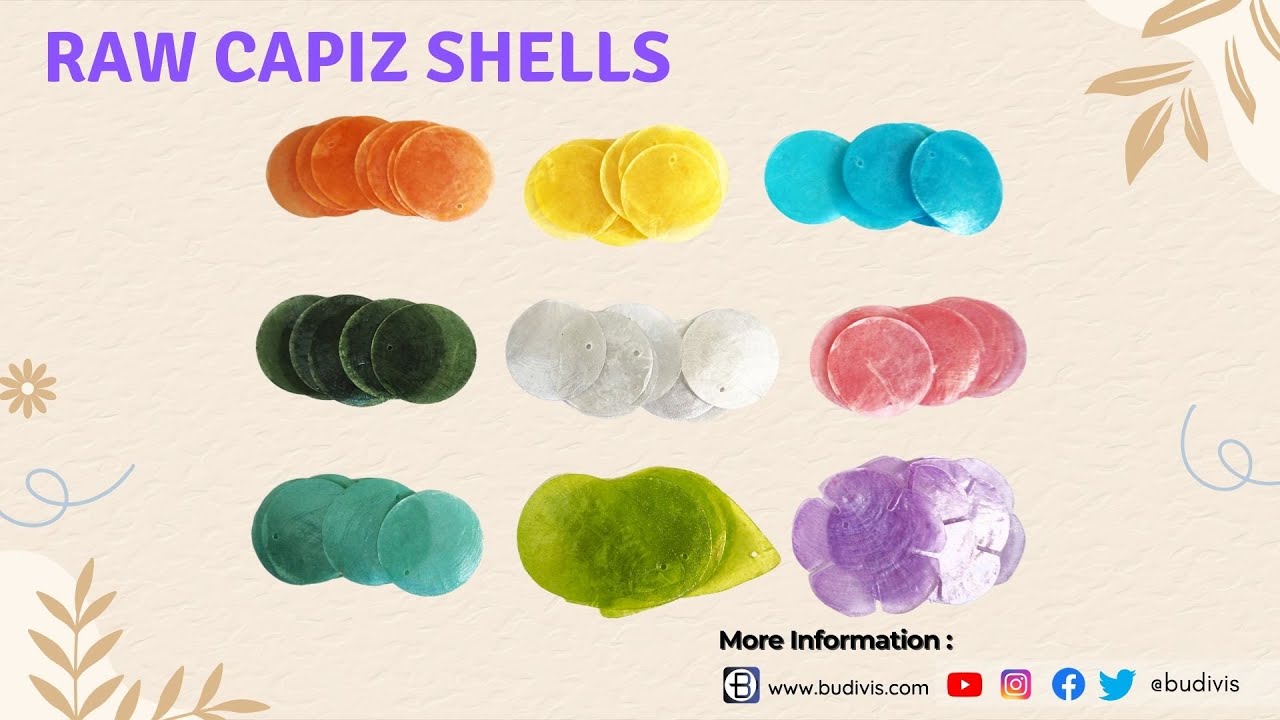 Raw Capiz Shells - YouTube