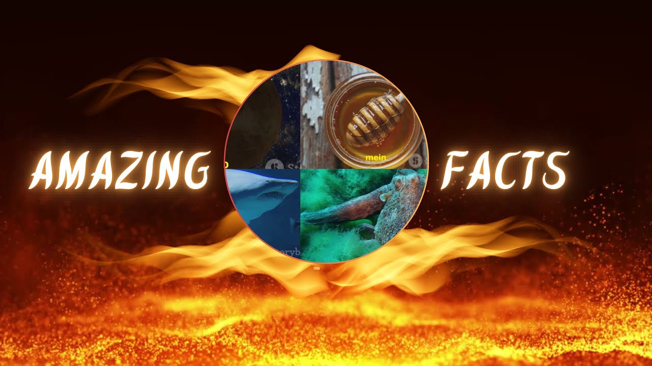20 amazing and unknown facts (part-2) | Hope you enjoy it | Like and ...