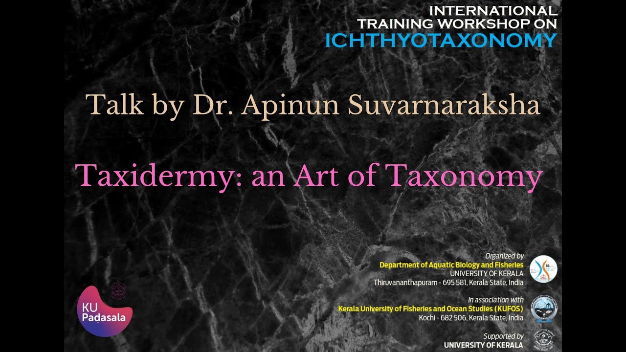 Taxidermy, an Art of Taxonamy | Prof Apinun Suvarnaraksha | Thailand - YouTube