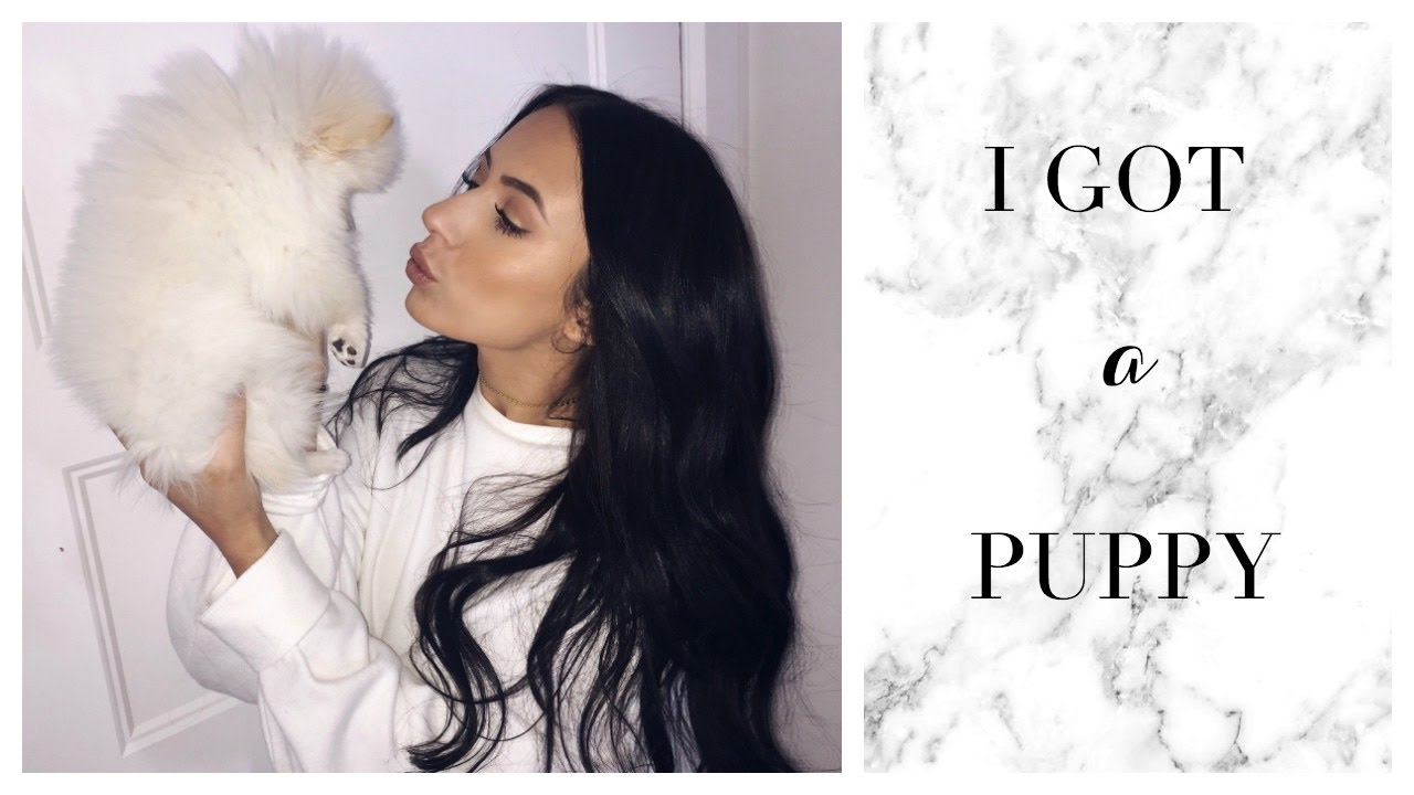 I GOT A PUPPY!! VLOG | Toni Sevdalis - YouTube