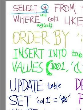 SQL 기본 문법. 특정 문자 포함, 정렬, 삽입, 수정, 삭제 #초심자 #devlog - YouTube