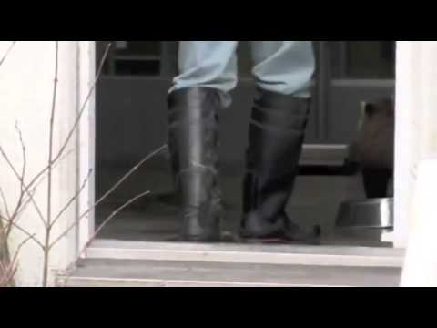 Red Panda gets scared by zookeeper - YouTube