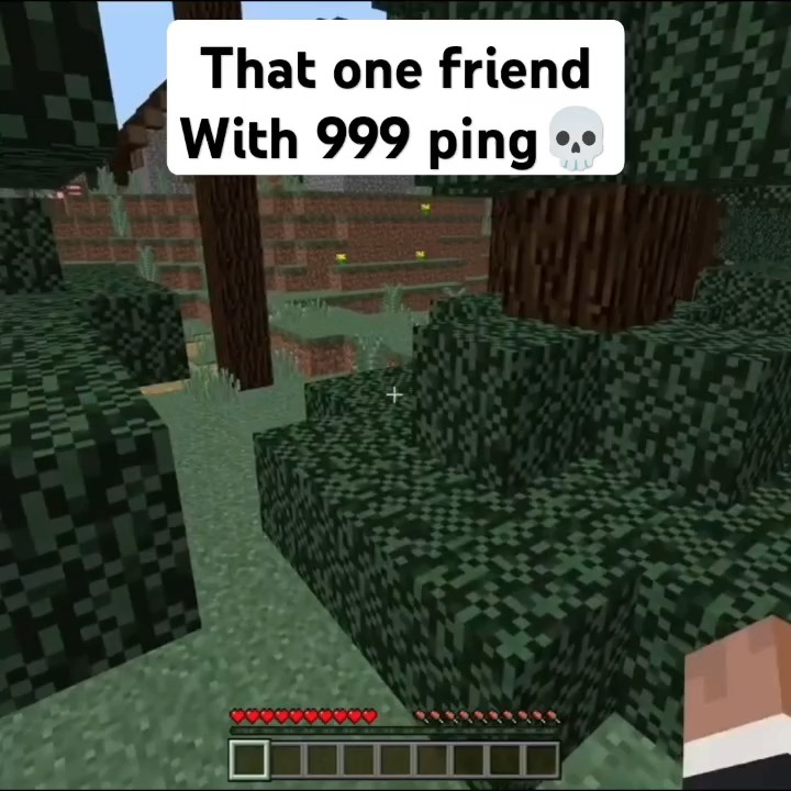 That one friend with 999 ping 💀#memes #shorts #minecraft # ...
