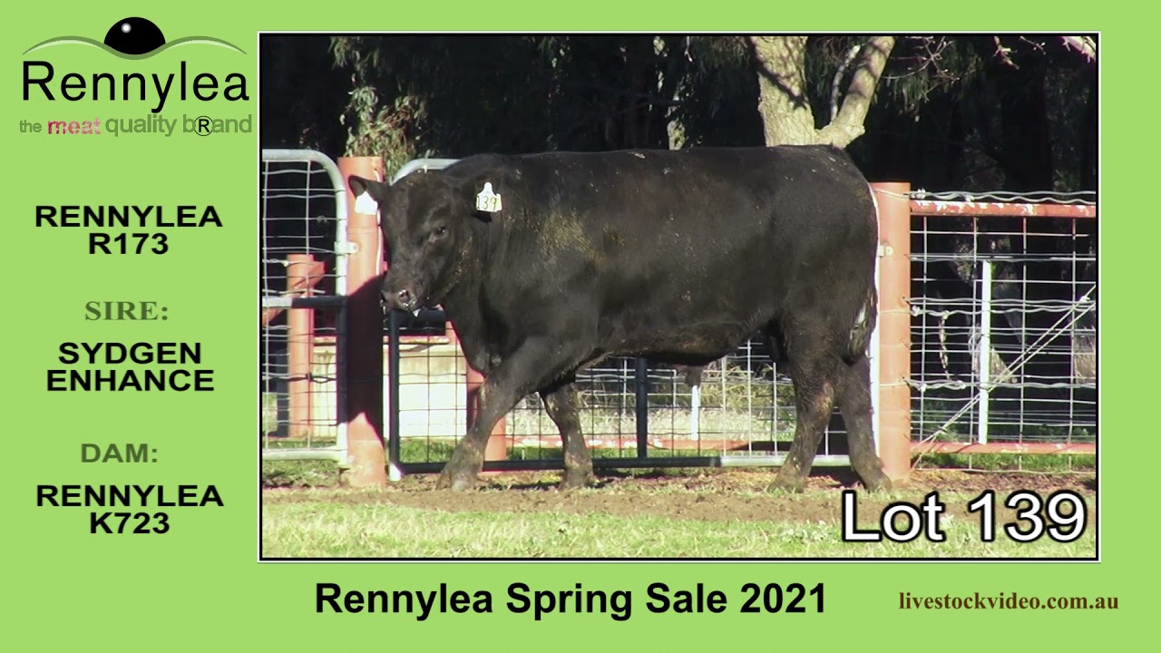 Lot 139 Rennylea 2021 Spring Sale - YouTube