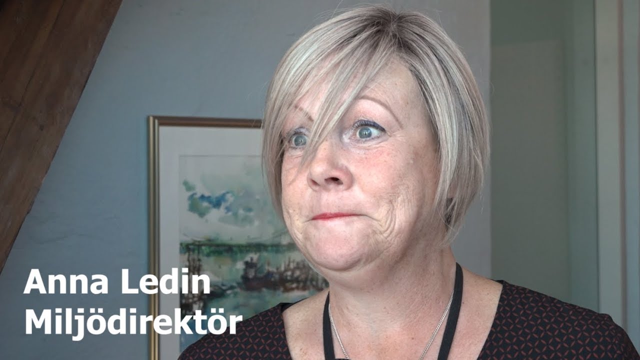 Miljödirektör Anna Ledin om öppna data i Göteborg - YouTube
