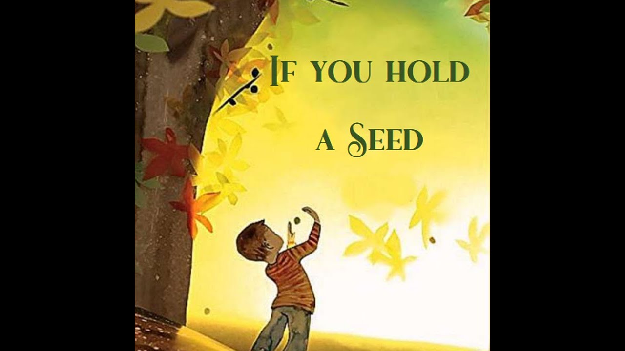 iF YOU HOLD A SEED - YouTube
