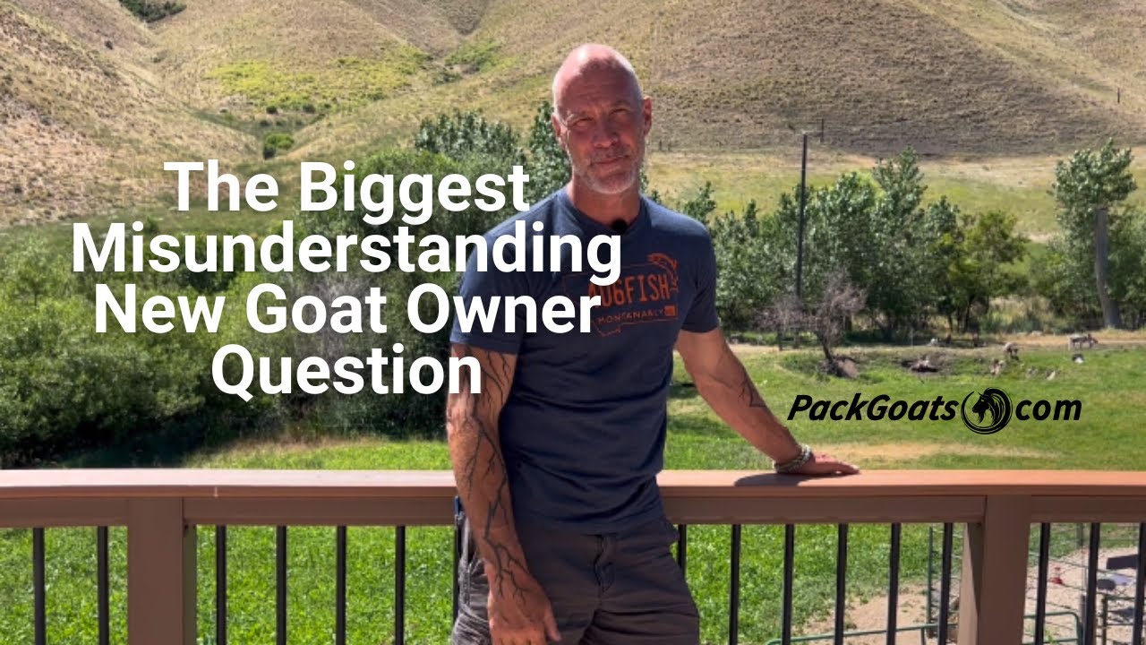 The Biggest Misunderstanding Question New Goat Owners Ask - YouTube