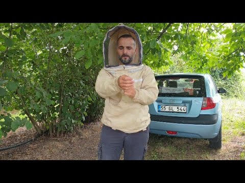 Astronot Maske (Kafa Değmez Arıcı Maskesi-Gömleği) İnceleme ve Çalışma