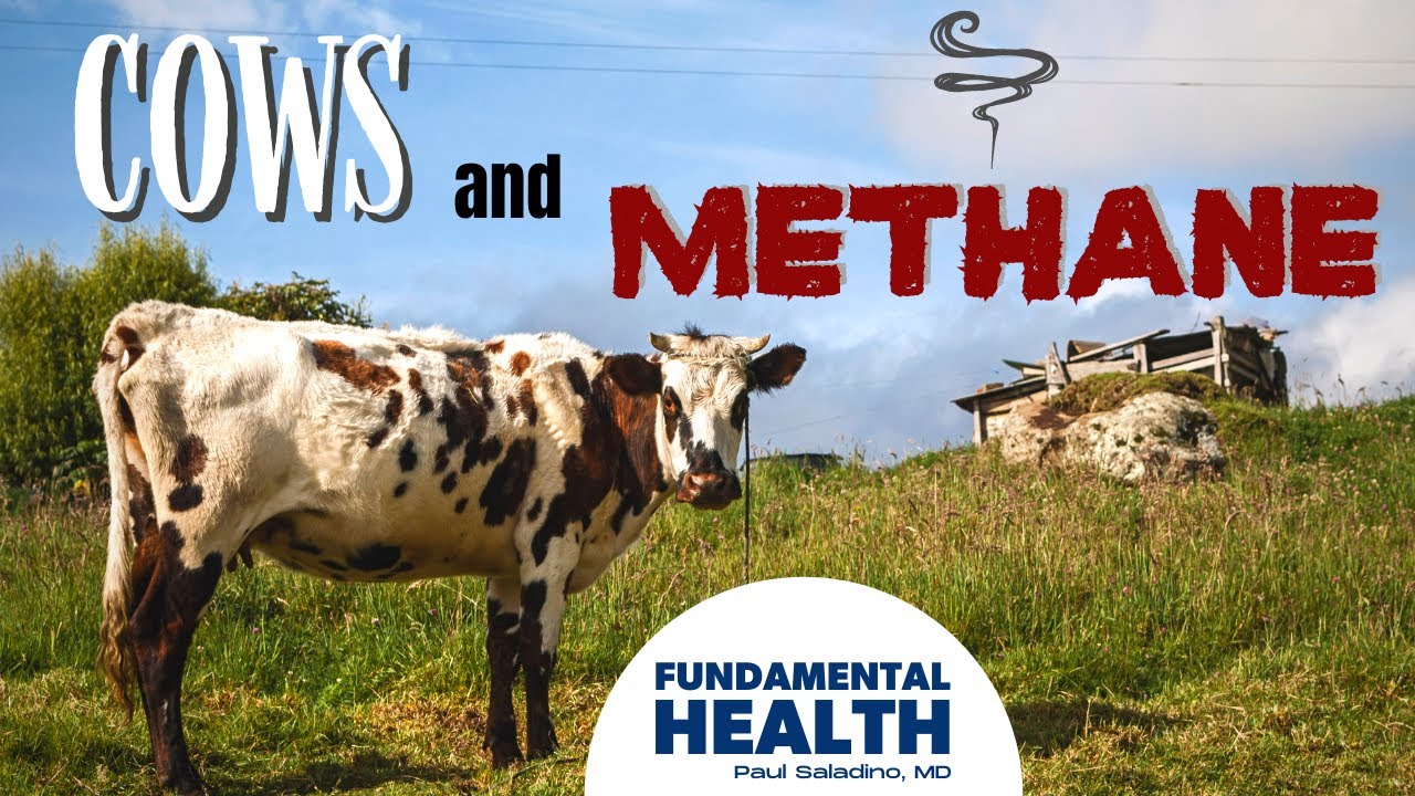 The truth about cows, methane, and the environment! - YouTube