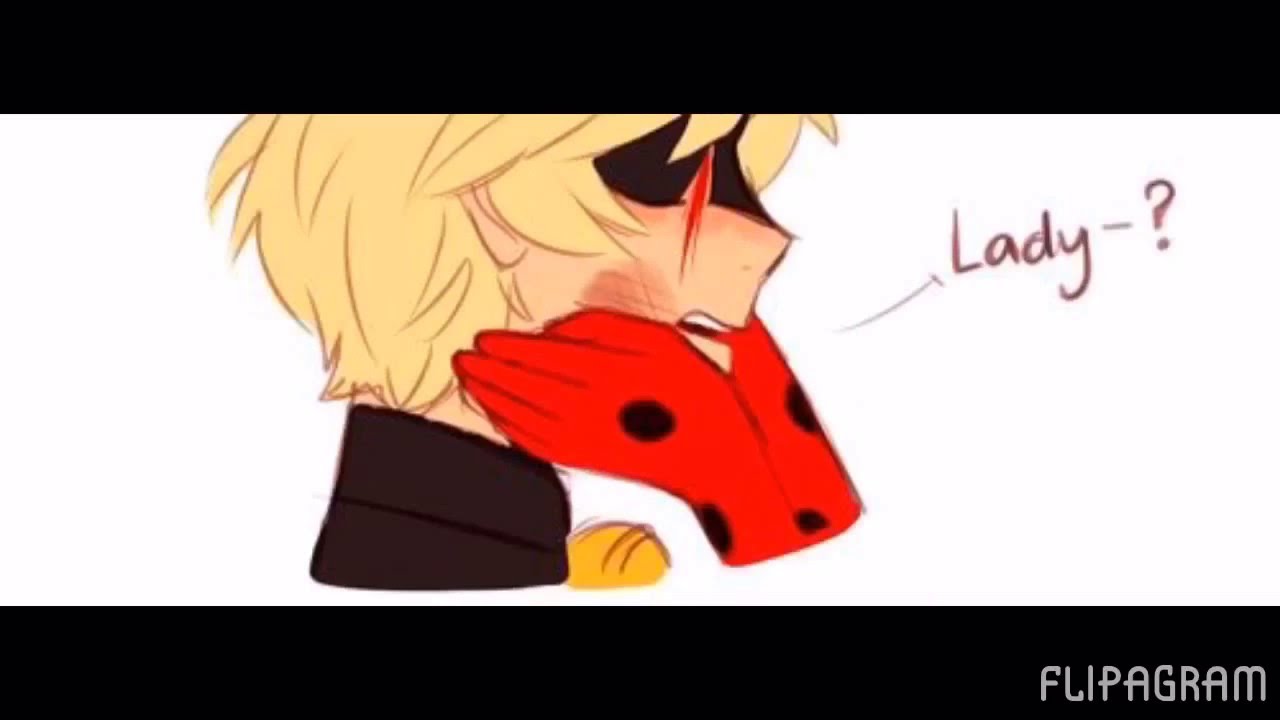 "You Stupid Cat!" [ Miraculous Ladybug FANDUB ] - YouTube
