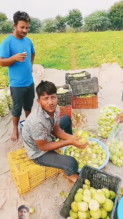 गौर कर लो मुझ गरीब किसान पे #kishan #comedy #funny #123kishan #farming #vlog #fruit #kisan #duet ...