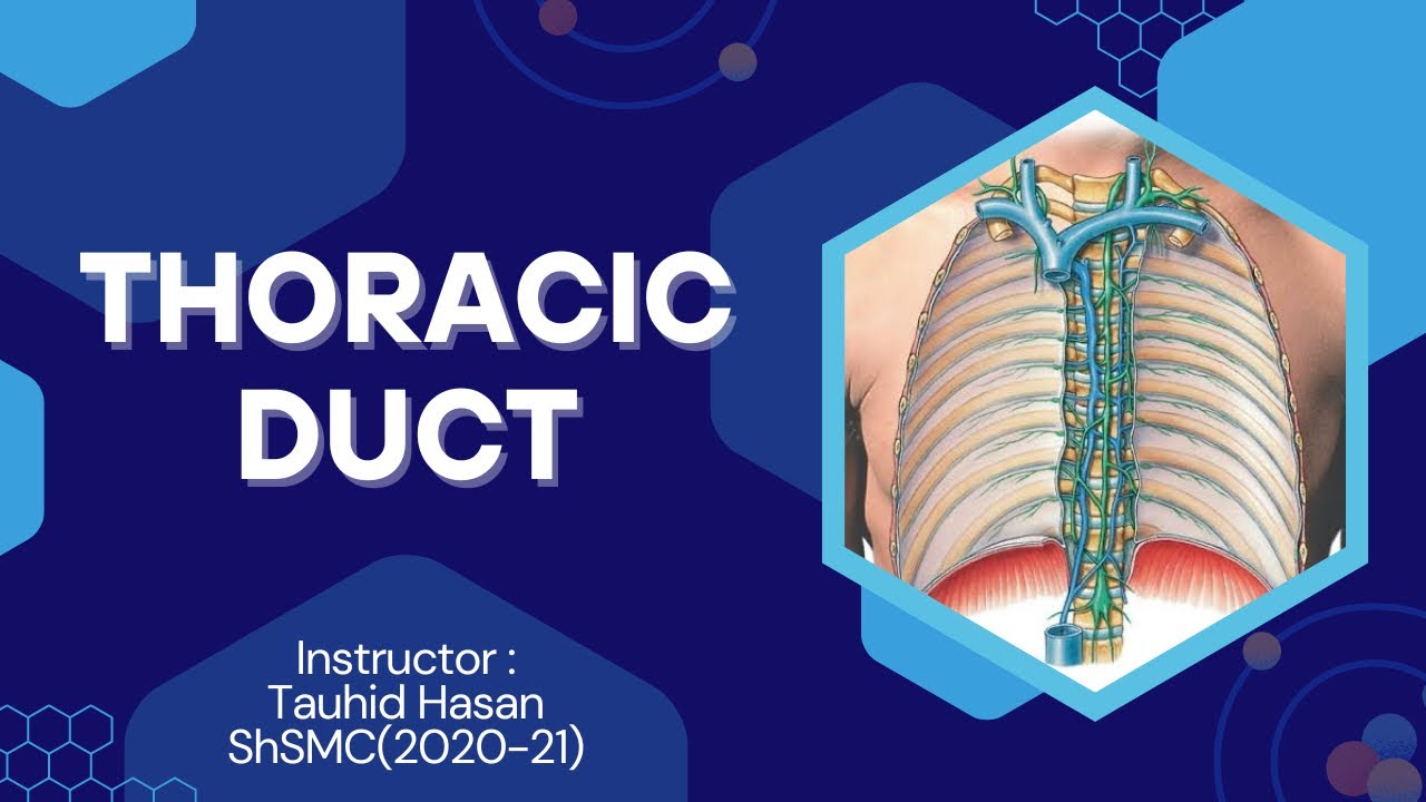 Thoracic Duct Explained | Full Systemic lecture link in Description ...
