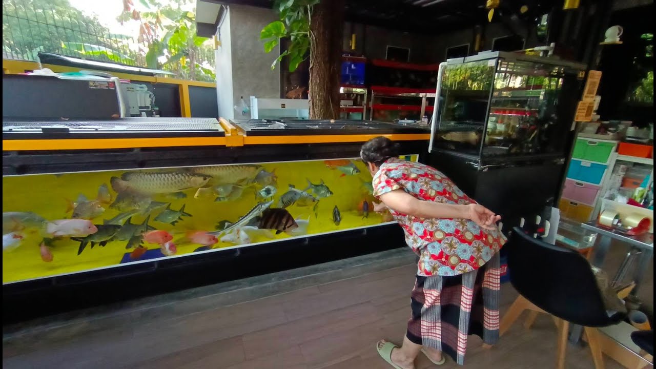 NC. World พระราม 2 - พาแม่เข้าบ้านไปดูปลาที่เลี้ยงไว้ เริ่มเยอะ แม่จะได้เรียกและบอกต่อได้ถูกชื่อ ...