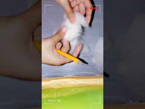 How to make Cotton plugs for Vials (Microbiology) - YouTube