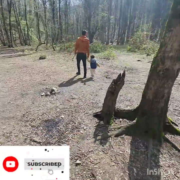 گمشدن پدر و پسر ۲ساله در جنگل های شمال گمشده پسر شمال دردناک پدروپسر جديد Youtube