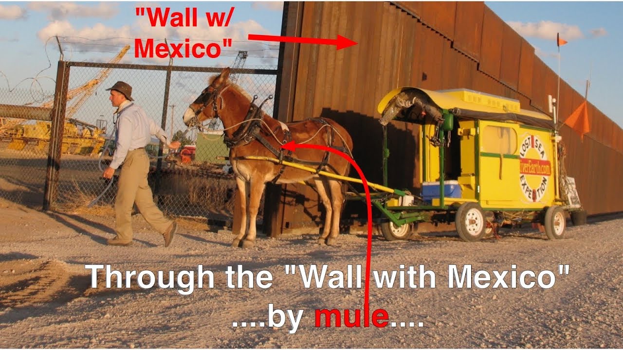 Walk a Mule Through the Wall to Mexico. - YouTube