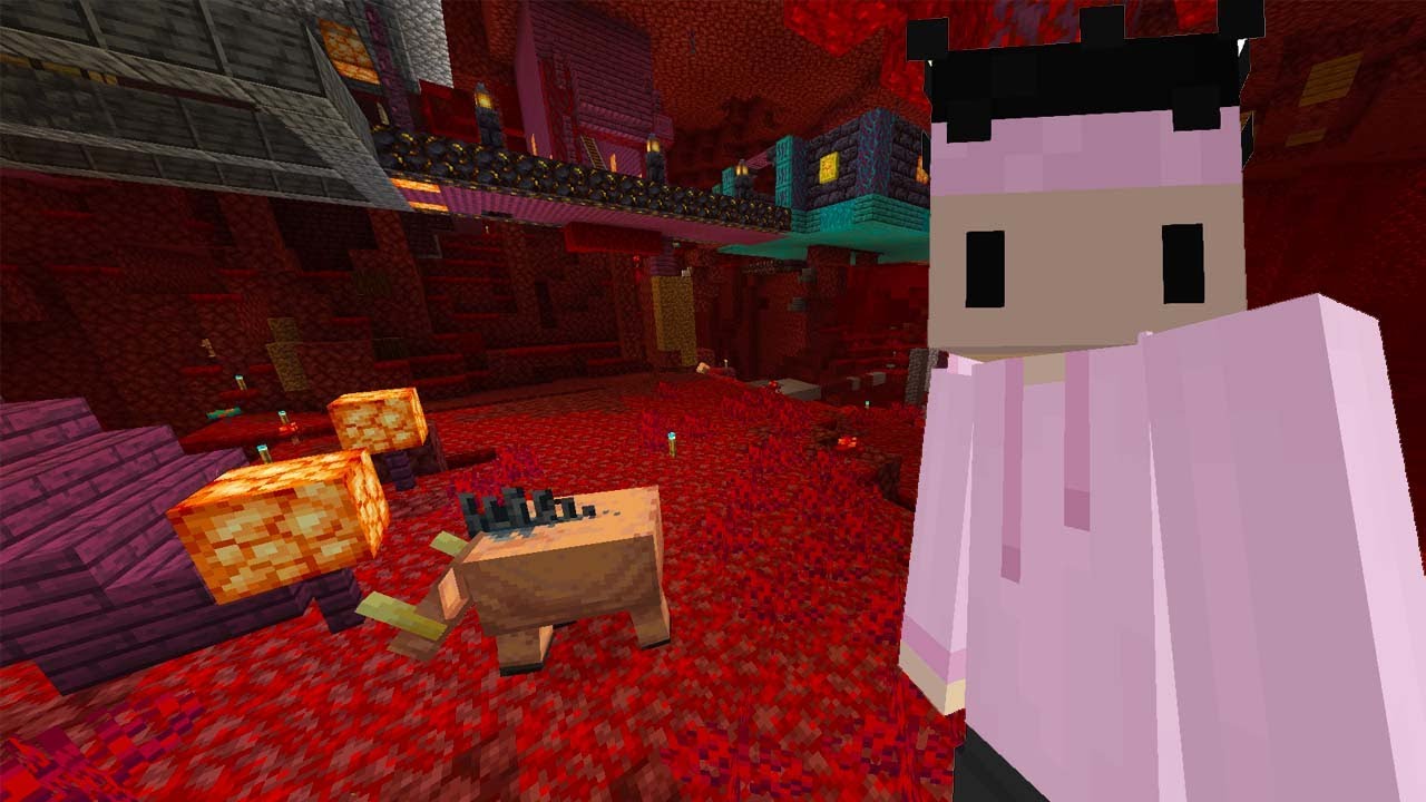 Minecraft SMP Nether Hub gets Update! - YouTube