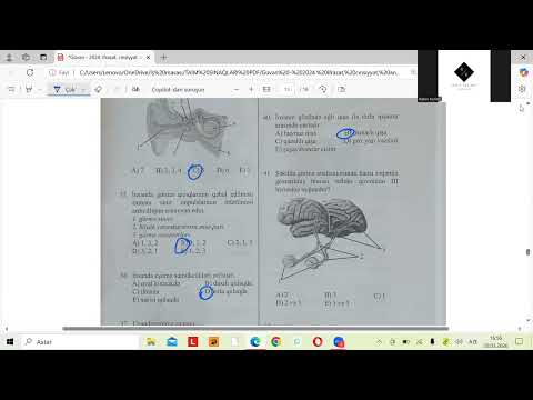 Güvən test toplusu. Duyğu orqanları test izahı