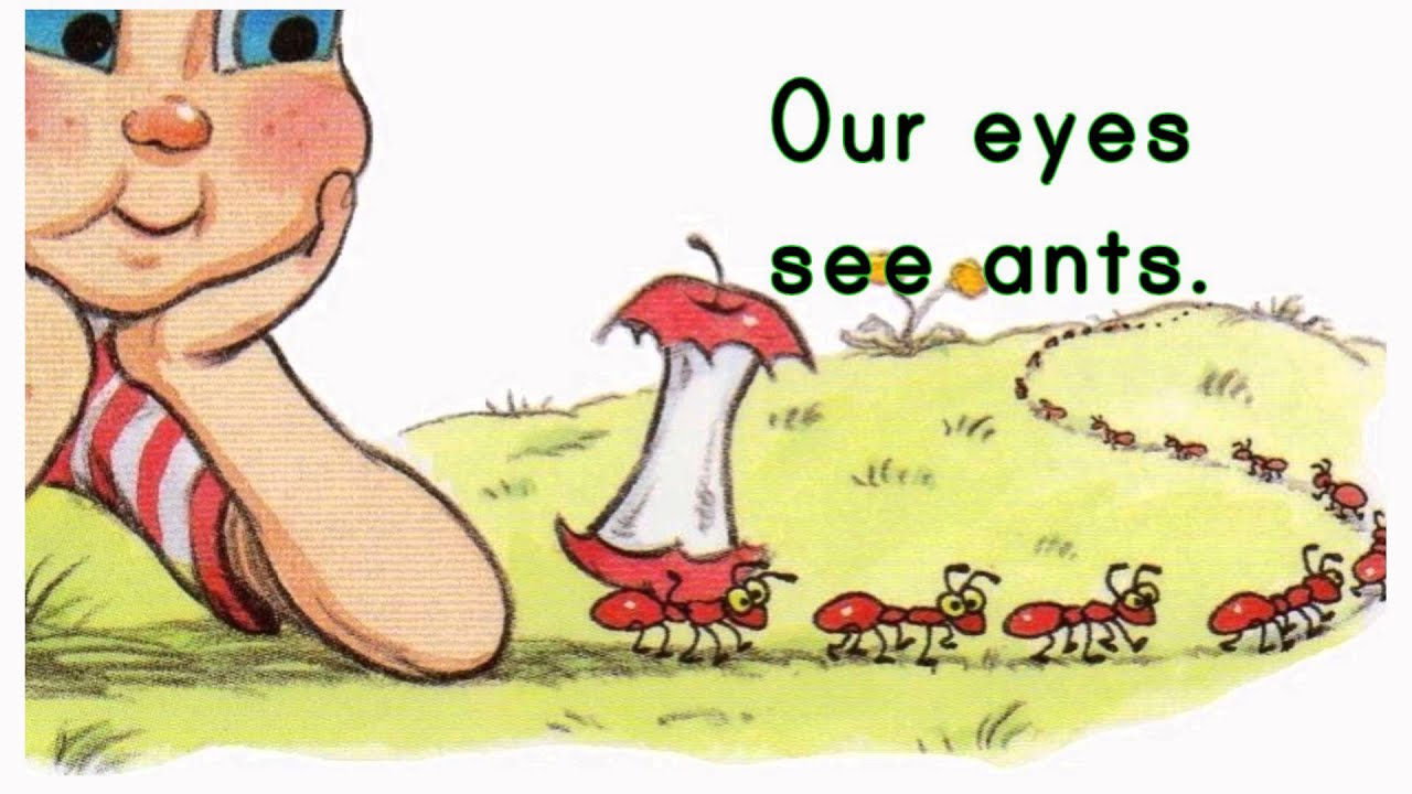 The Eye Book - YouTube