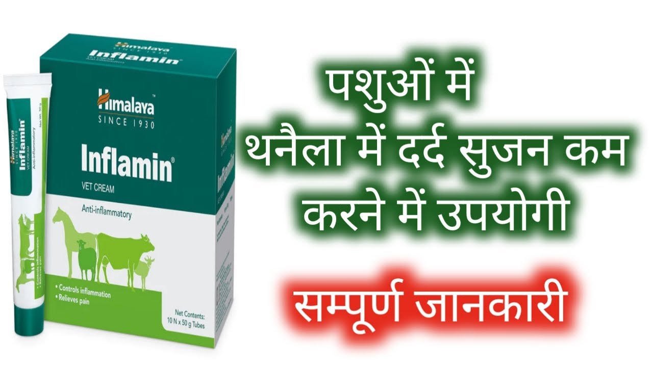 Inflamin Vet Cream पशुओं में उपयोग सम्पूर्ण जानकारी - YouTube