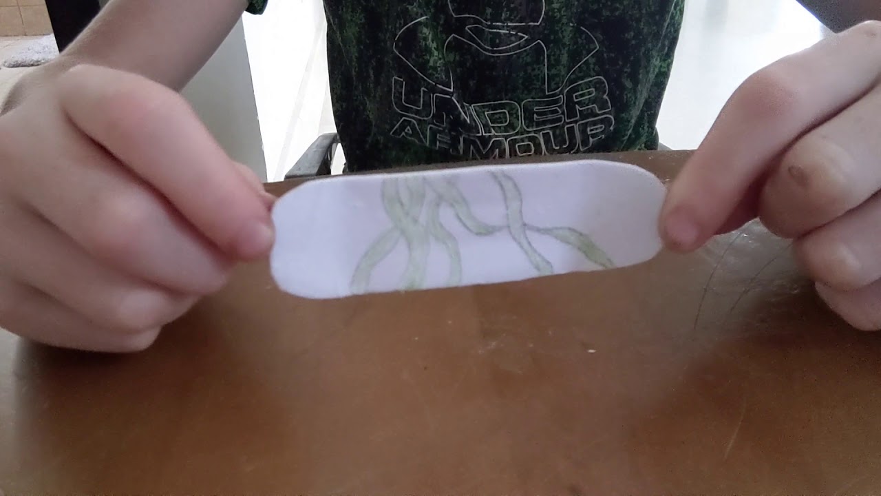Making a paper fingerboard! - YouTube