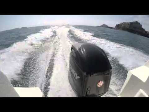 MERCURY 40 PRO E QUICKSILVER 555 ACTIV PILOTHOUSE - YouTube