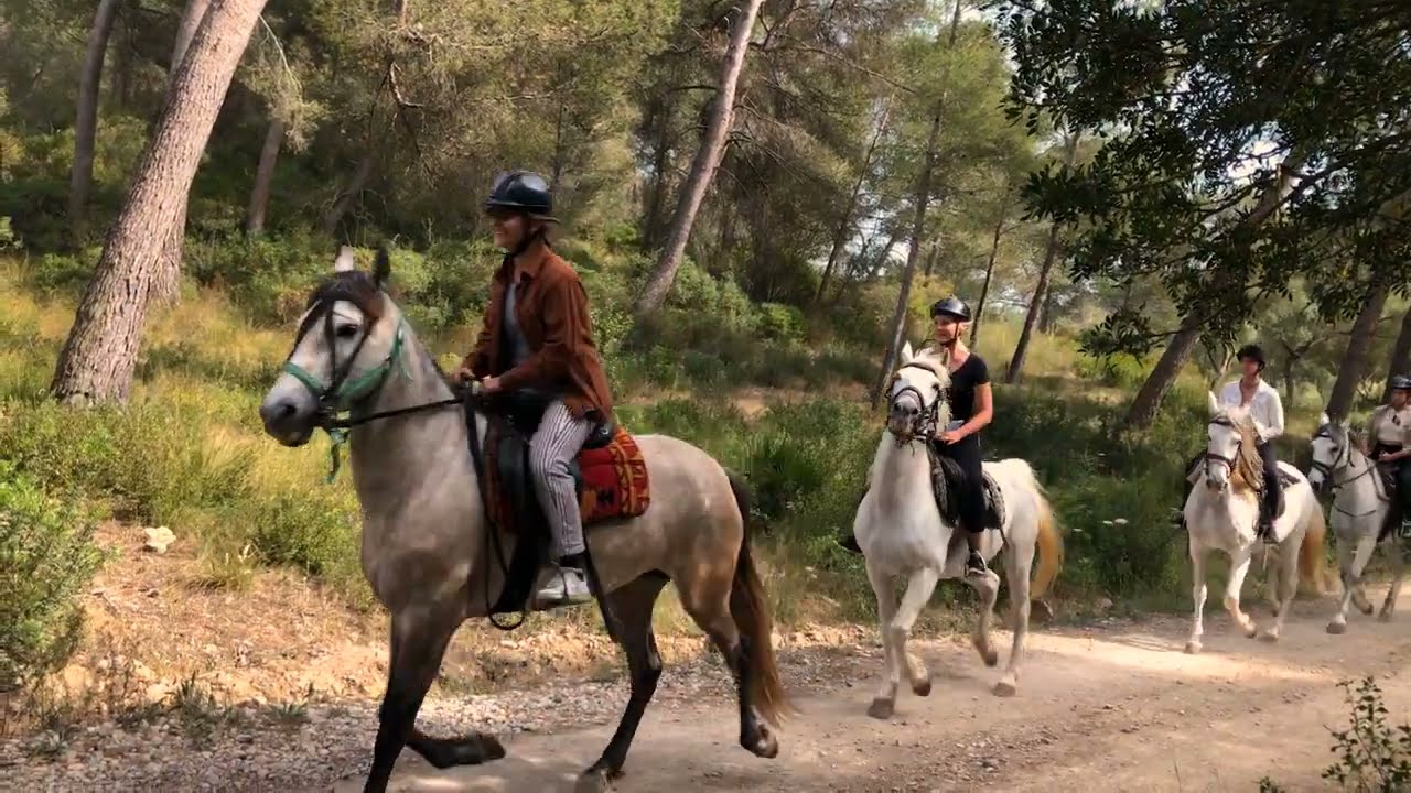 Montar Caballos