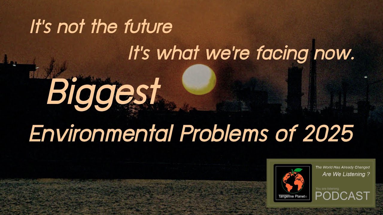 [TP001EN] Biggest Environmental Problems of 2025It's not the future, it ...