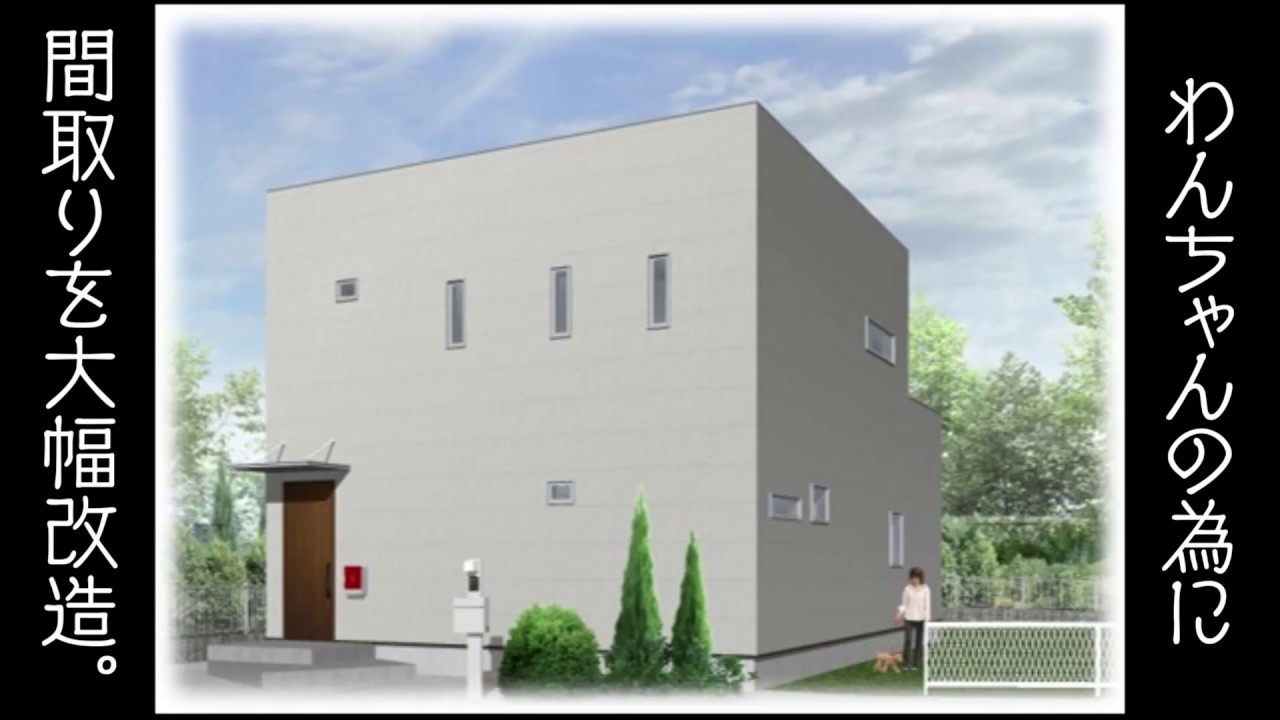 【柳川市三橋町】「愛犬と暮らす家。」ZERO-CUBE+BOX CUSTOM / 完成見学会！ - YouTube