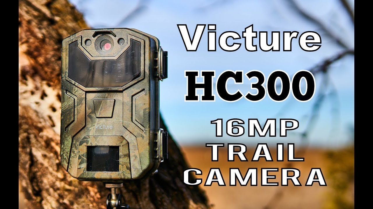 Victure HC300 - Trail Camera - YouTube