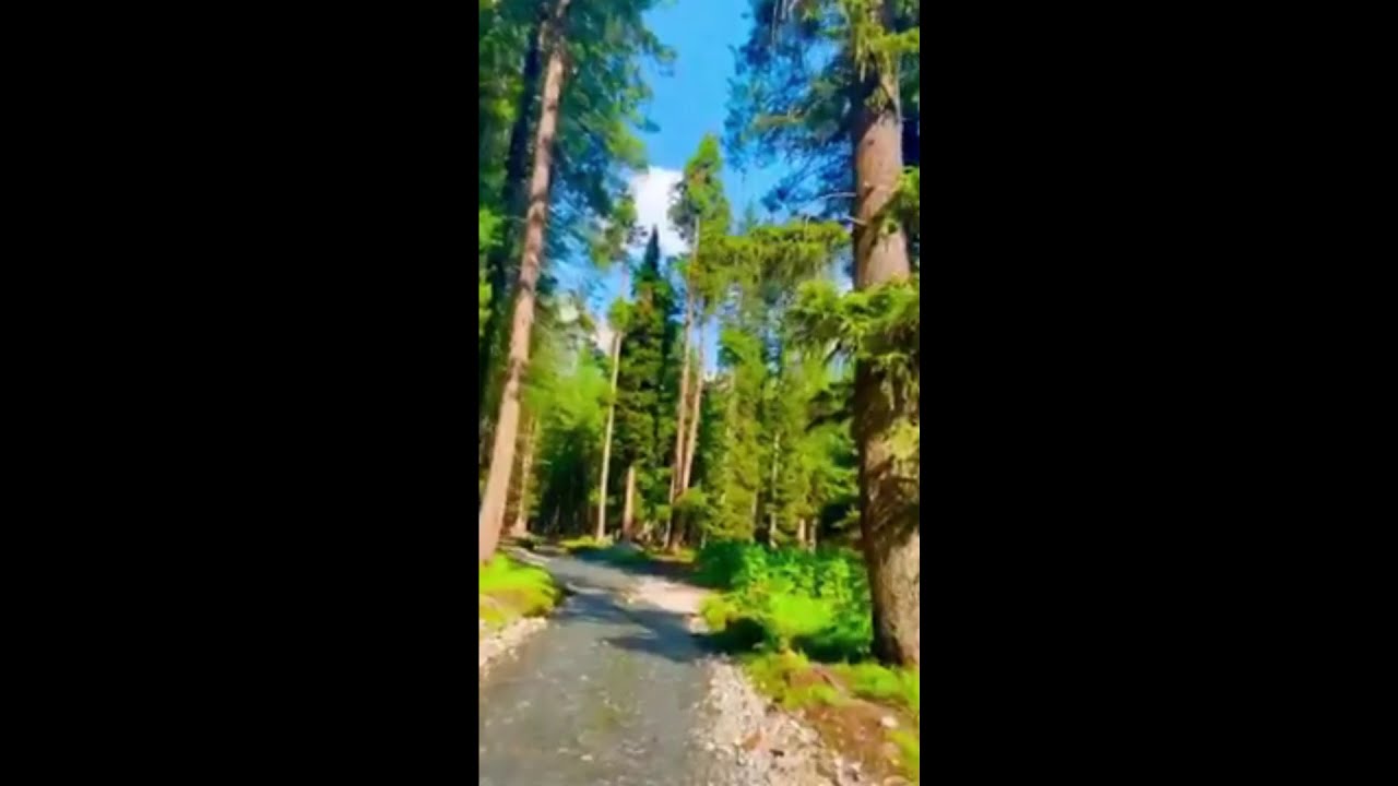 Why You Need To Stop Ignoring NATURE BEAUTY VIDEOS - YouTube