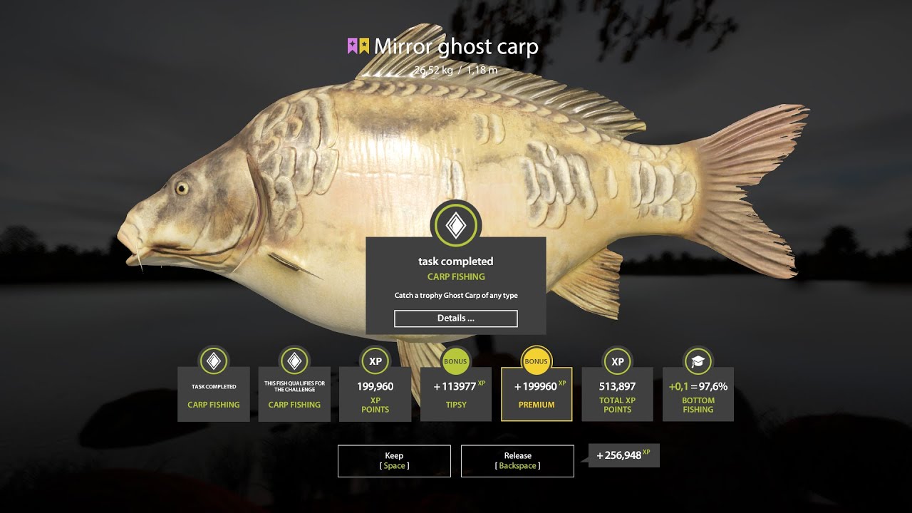 Russian Fishing 4 | Trophy Mirror Ghost Carp - YouTube
