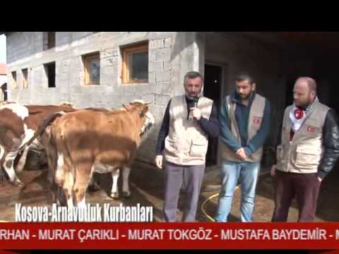 KOSOVA - ARNAVUTLUK KURBAN 2013
