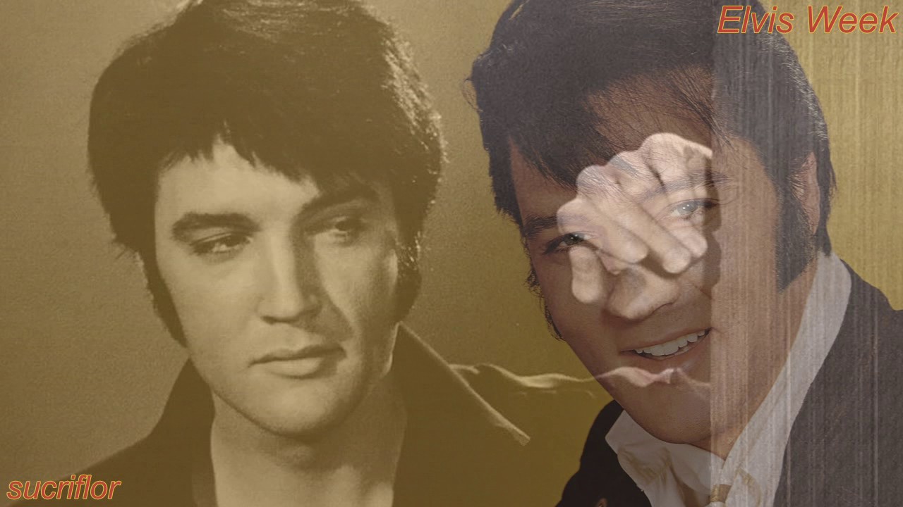 ELVIS PRESLEY - STRANGER IN THE CROWD - YouTube