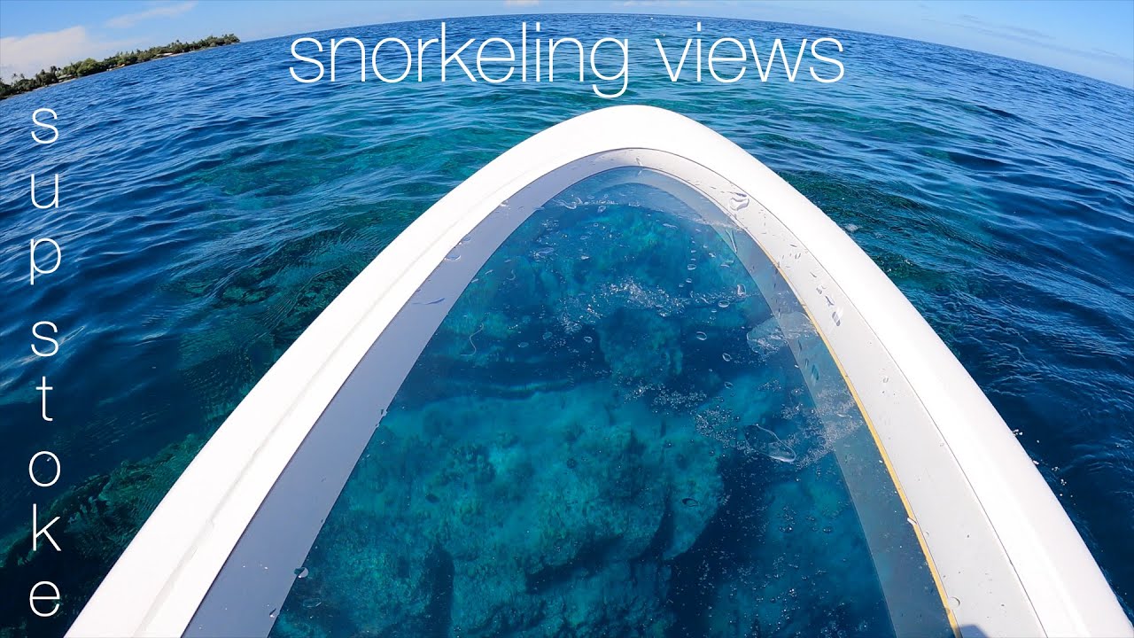 HUGE WINDOW IN A STAND UP PADDLE BOARD ~ See all the life on the reed ...