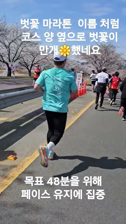 24회 합천 벗꽃 마라톤 #10km마라톤 가족이 출전해서 즐겁게 완주 성공#2025합천벗꽃마라톤 #pb성공 - YouTube