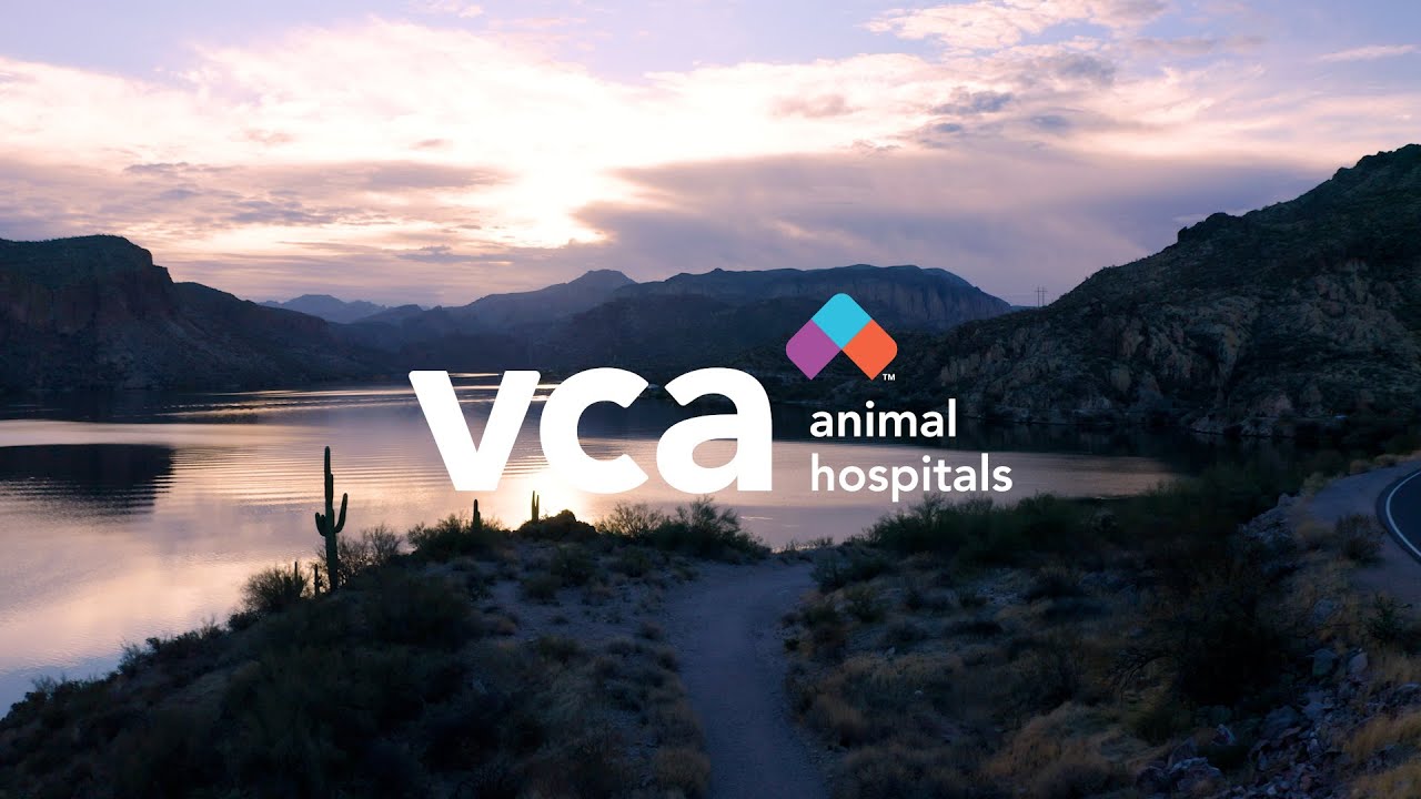 VCA Arizona Region Video - YouTube