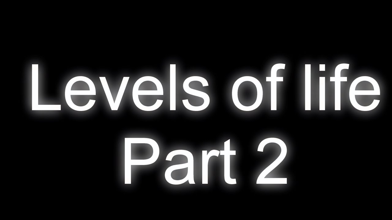 Levels of life part 2 - YouTube