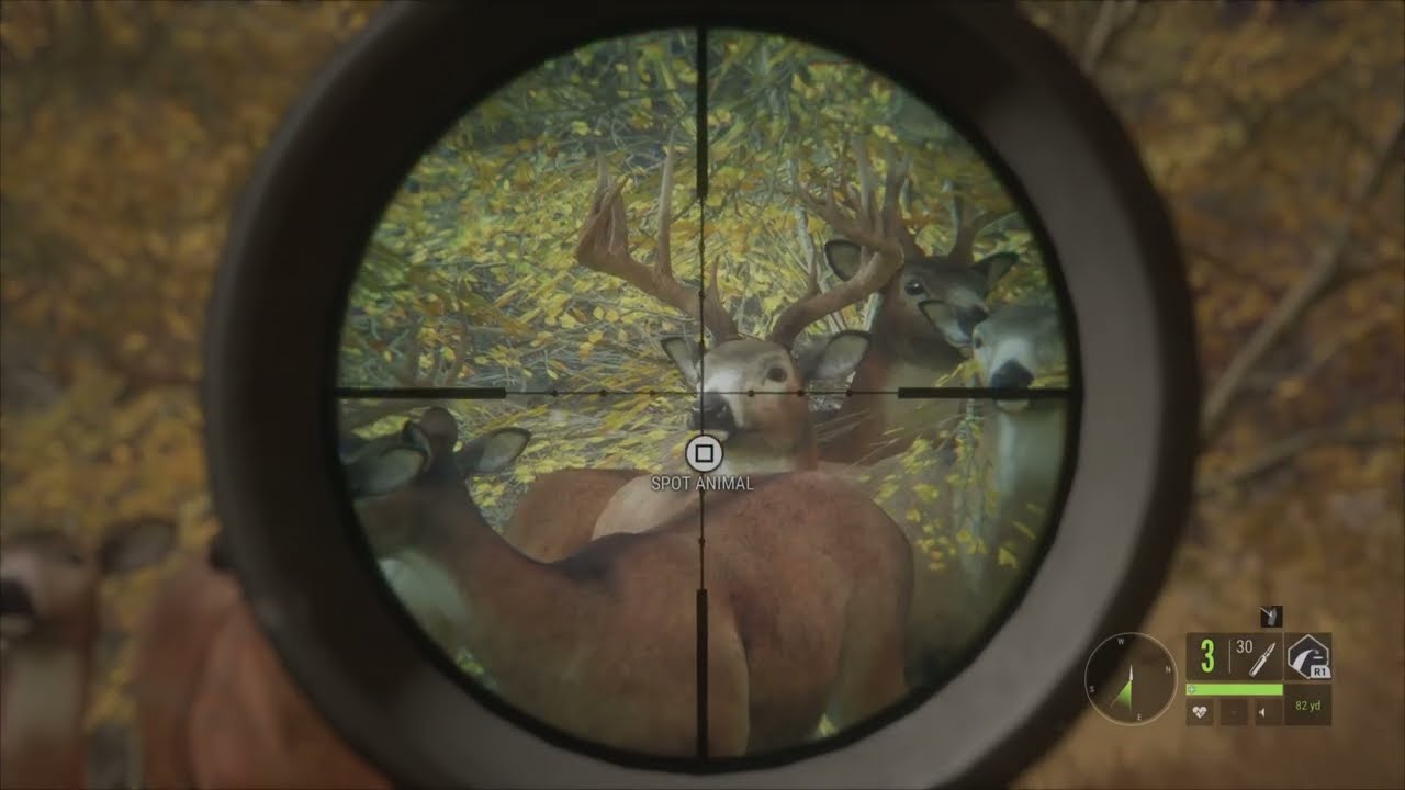 Diamond Whitetail cotw - YouTube