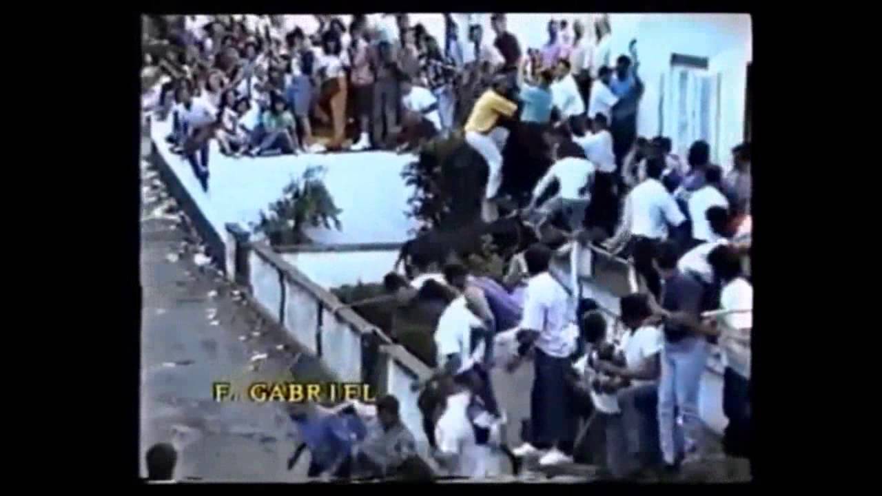 Bull Attack Compilation 2014 - YouTube